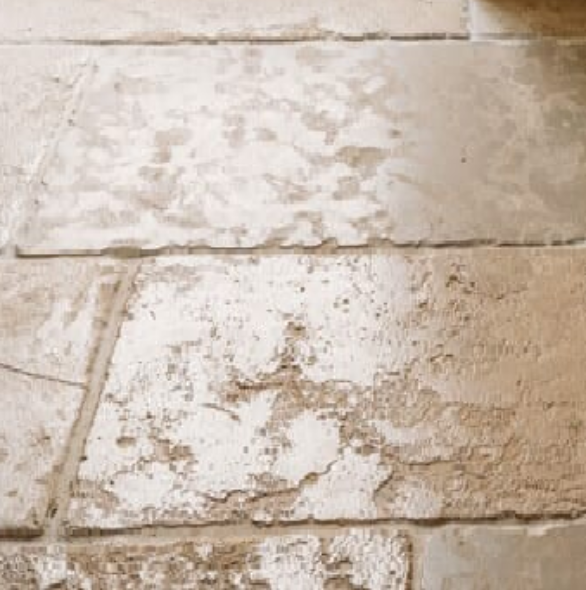 Floor Sample Testing